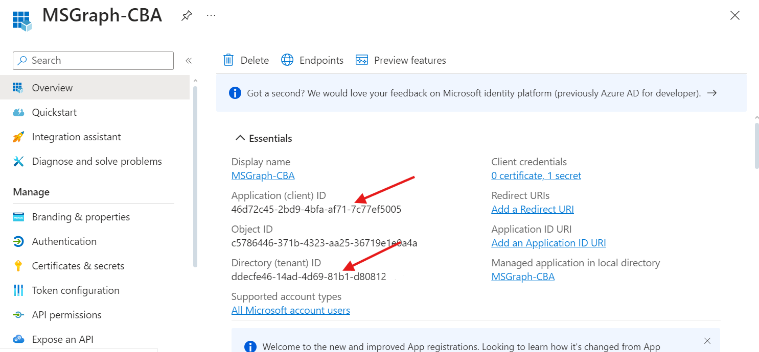 Connect to Microsoft Graph using Client Secret - Cloud Mechanics